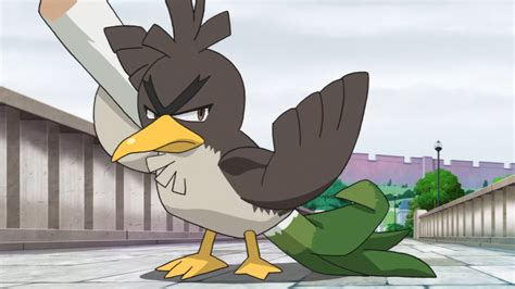 Canarticho De Galar De Sacha Pok P Dia