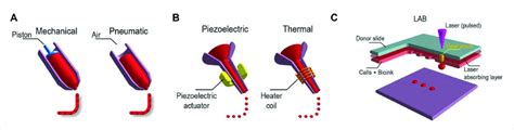Three Major Bioprinting Techniques A Extrusion Based Printers Use