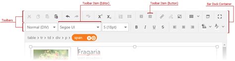 Html Editor Elements Aspnet Web Forms Controls Devexpress