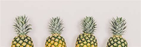 Wordpress Seo Duplicate Content And Canonical Issues Netpeak Software Blog