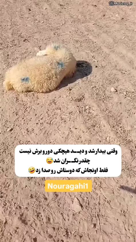 ‎نور آگاهی خودشناسی قانون جذب‎ ‎وقتی بیدار شد با خودش گفت من کی