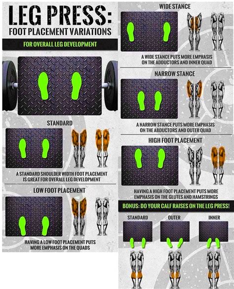 5 Best Leg Press Foot Placements Leg Press Guide