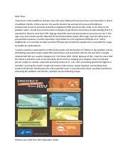 Hello Class Docx Hello Class I Have Been In The Healthcare Industry Since The Early S And