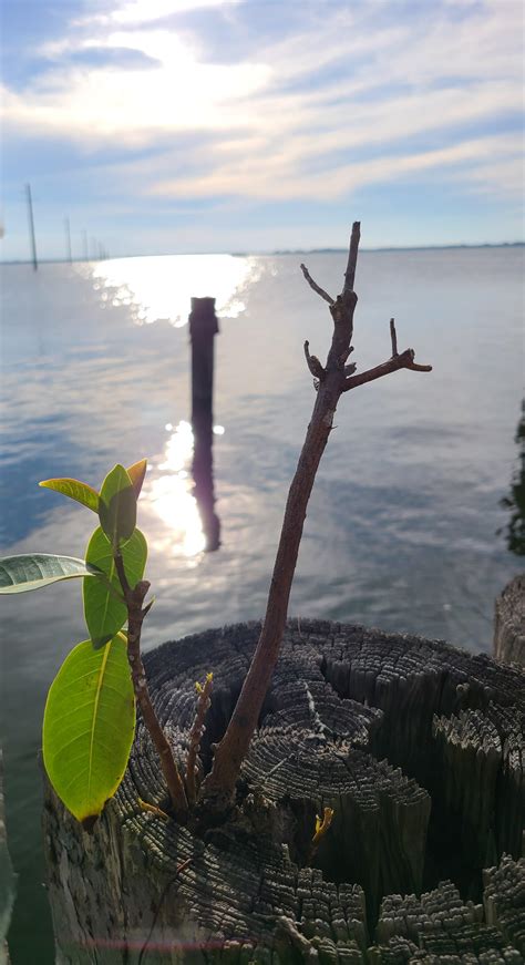 1193 Best Afb Images On Pholder Warplane Porn Air Force And Aviation