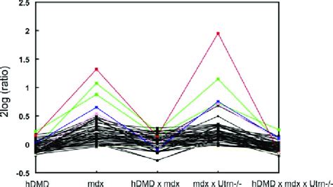 Hdmd Expression Restores Wild Type Gene Expression Patterns In Mdx And