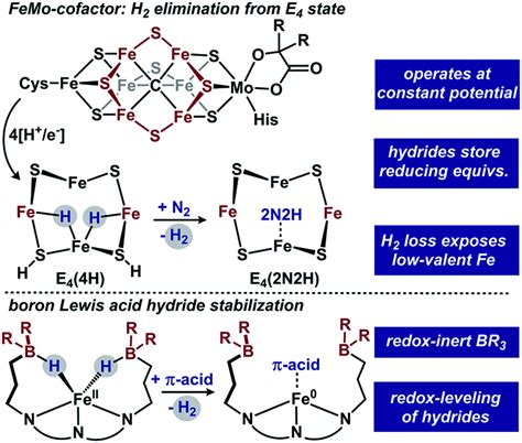 Femo Cofactor And Our Approach To Hydride Accumulation With Boron Lewis