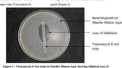 Figure 1 From Comparison Of Vancomycin Against Methicillin Resistant