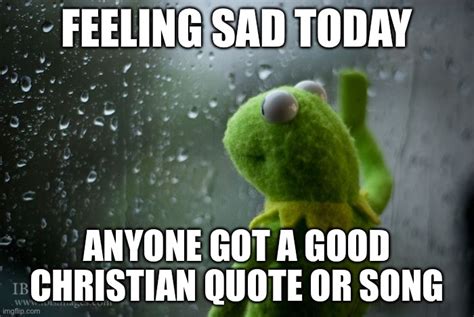 Sad Kermit Window