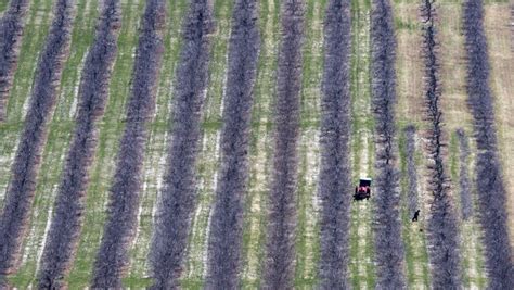 Immigration Museum Ceo In Halifax Accused Of Creating Environment Of Fear