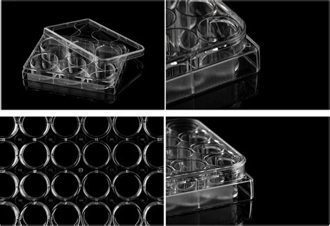 为什么使用培养皿进行生物实验时，要倒置培养皿2023已更新产品说明技术文章本生（天津）健康科技有限公司