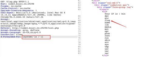 BJDCTF2020 The mystery of ip buu Web 极客文档