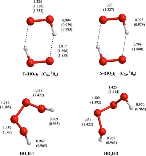 Optimized Structures Of Hydrogen Tetroxide HO4H And Cyclic HO2 2 Dimer