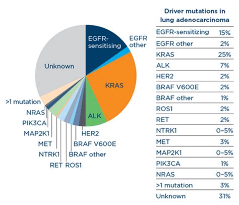 About Rare Mutations And Fusions In Nsclc Navigating Rare Mutations