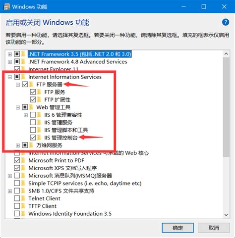 Windows Ftp