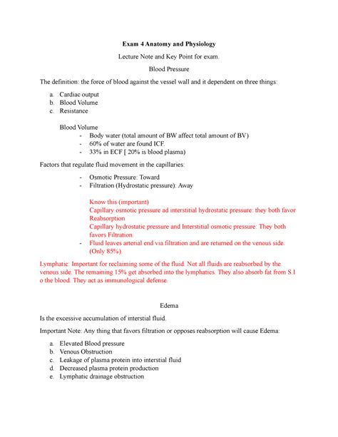 Exam 4 Anatomy And Physiology Exam 4 Anatomy And Physiology Lecture