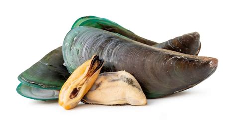 Premium Photo Steamed Or Cooked Food Of Fresh Beautiful Green Mussels