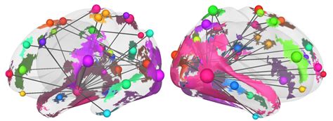 📙2️⃣ Scientific Visualization Tools — Ohbm 2025 Educational From Code To Visualization