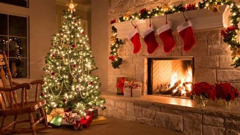 Fireproofing Your Christmas Tree City Floral Garden Center Denver