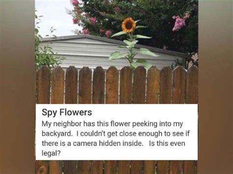 These Nextdoor Posts Are Truly Something Else 34 Photos