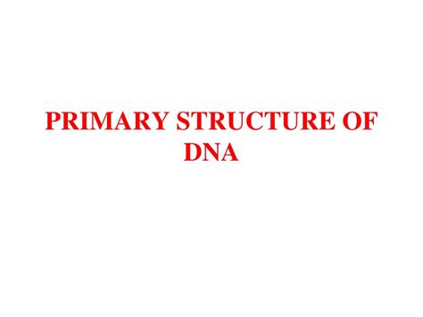 PPT STRUCTURE OF DNA Primary Structure Secondary Structure Tertiary Structure