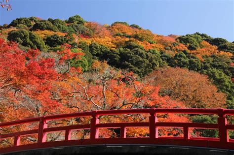 1 433箕面公園紅葉2012その5 Huちゃん 写真日記 楽天ブログ