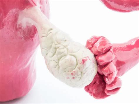 Desmistificando A Somp Rayanne Pinheiro Quizur