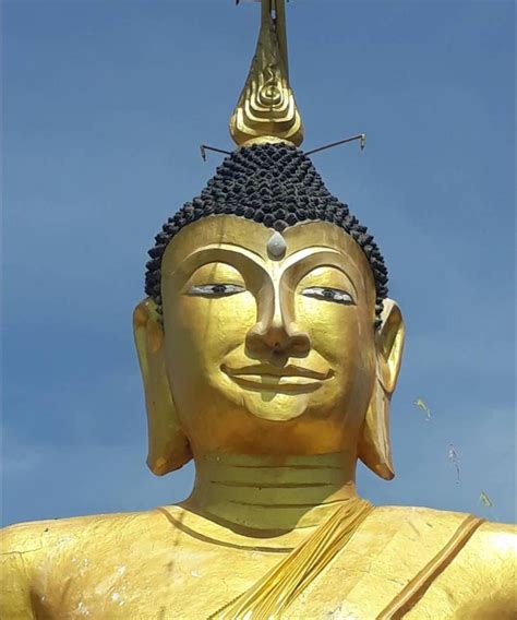 ต้นโพธิ์ 3 ต้น วัดบ่อทอง หลวงพ่อเกตุสุวรรณ Facebook