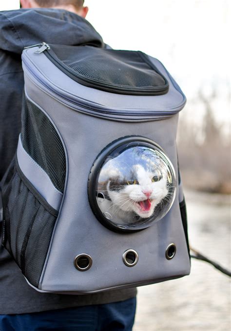 A Winter Cat Walk Your Cat Backpack Review