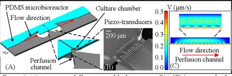 Figure 1 From Integrated Microbioreactor With Piezoelectric Transducer Array For Cellular
