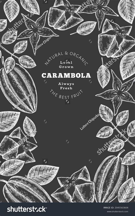 Hand Drawn Sketch Style Carambola Banner Stock Vector Royalty Free Shutterstock