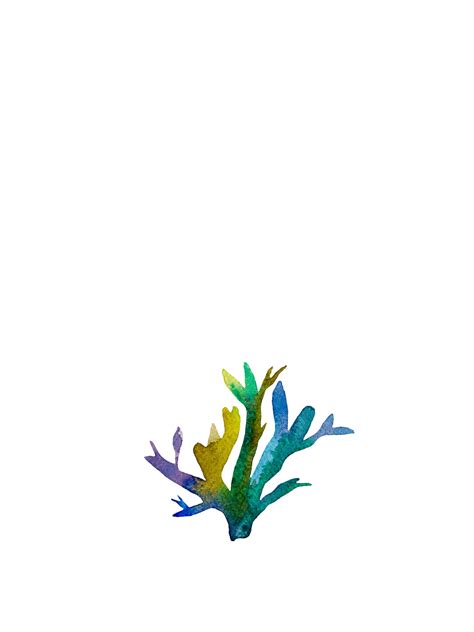 Shellfish Shell Illustration 11199358 Png