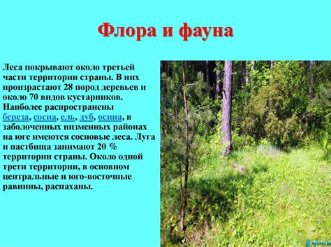 Беларусь презентация онлайн