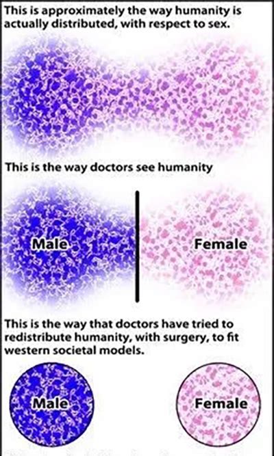 Geek Girls Human Biological Sex Distribution 👇👇👇