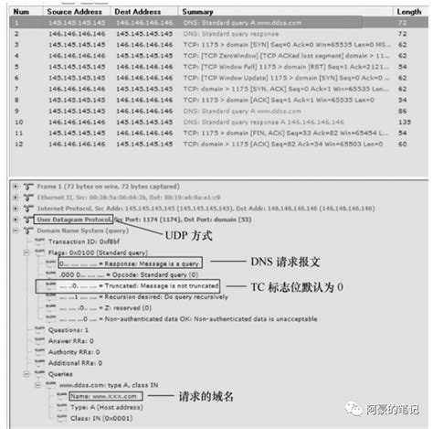 常见的dns攻击与相应的防御措施 Csdn博客