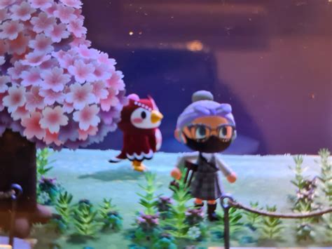 Space Chicken Is Hanging Out On An Area I Was Trying To Terraform
