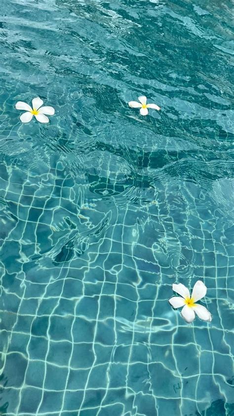 28 아이폰배경화면 인스타 감성 이미지 외국배경화면 플립배경화면 여름배경화면 청량한 배경화면