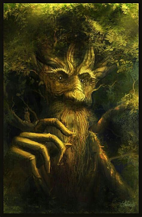 Treebeard LOTR Treebeard Tolkien Middle Earth Art