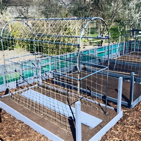 Pea And Bean Domed Frame Garden Netting