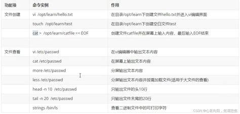 Vi编辑器 Csdn博客