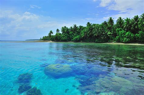 アメリカ渡航前ワクチン予防接種や注意すべき感染症 海外渡航のための予防接種WEBメディア ワクチンNavi