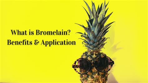 What Is Bromelain Benefits And Application Herb Bio Herbal Extract