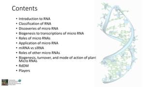 Functions Of Micro RNA PPT
