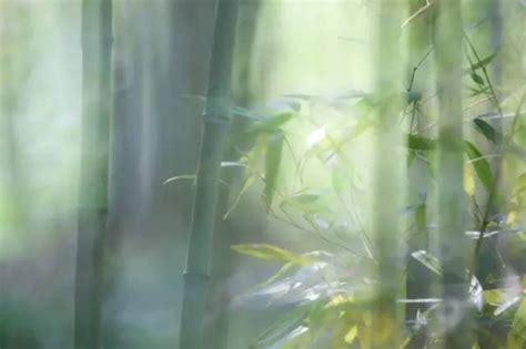 半醉半醒半自然半俗半雅半随缘 人生