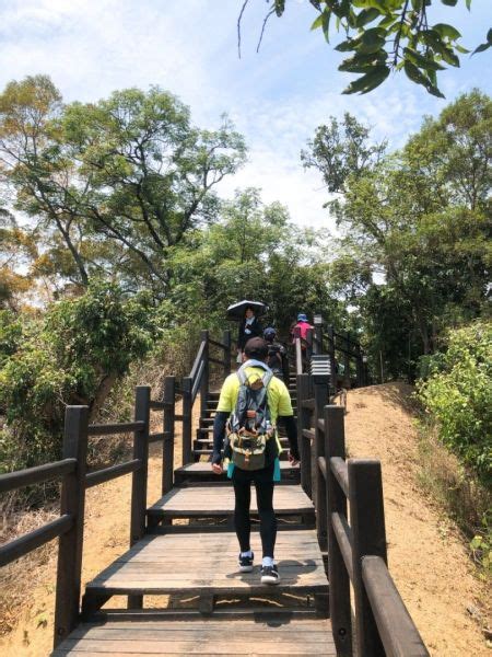 大坑9、10號步道 健行筆記