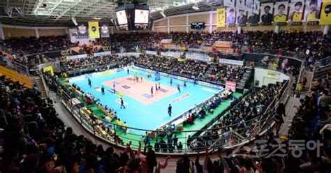 포토 뜨거운 배구 열기를 보여주는 상록수체육관 포토 뜨거운 배구 열기를 보여주는 상록수체육관