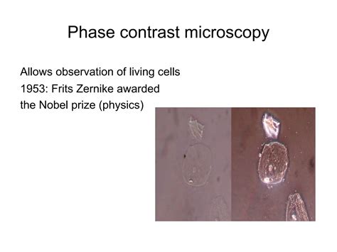 Macroscopic And Microscopic Examination In Bacteriology Ppt
