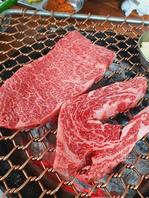 서울종로혜화대학로 40년 전통의 장위동유성집종로점 토종한우등심🐮 솔직후기🥰 너무 맛있음feat 숙성효소무생채