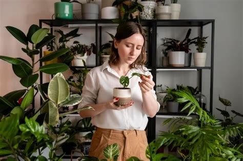 ¿qué Plantas Debes Tener En Casa Para Atraer Dinero Terra México