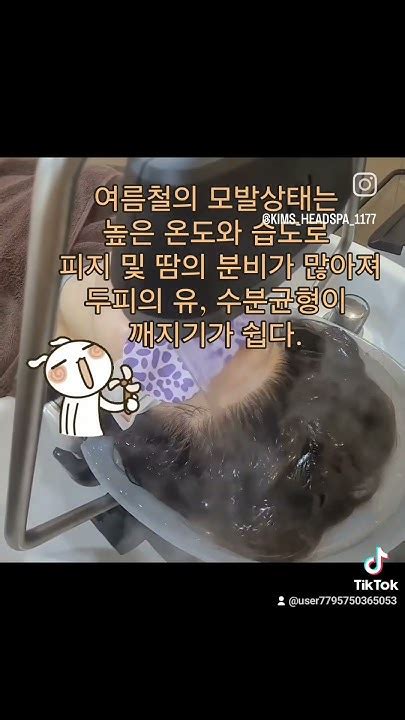 ⛱️여름철의 모발상태는 높은 온도와 습도로 피지 및 땀의 분비가 많아져두피의 유 수분균형이 깨지기가 쉽다 두피관리 포천