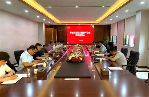 市政协大健康产业链调研座谈会在湖北李时珍中医药控股集团大健康产业园召开新闻中心 湖北李时珍中医药控股集团